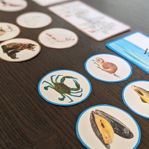 Land Water Air Winter Themed Montessori Sorting Cards Printable ...