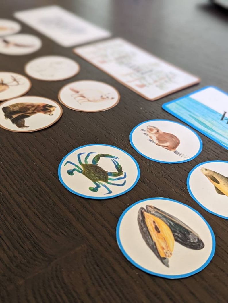 Land Water Air Winter Themed Montessori Sorting Cards Printable ...