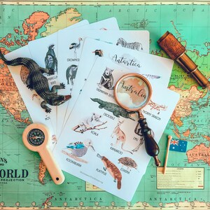 Animals and Their Continents Posters Printable Preschool Kindergarten ...