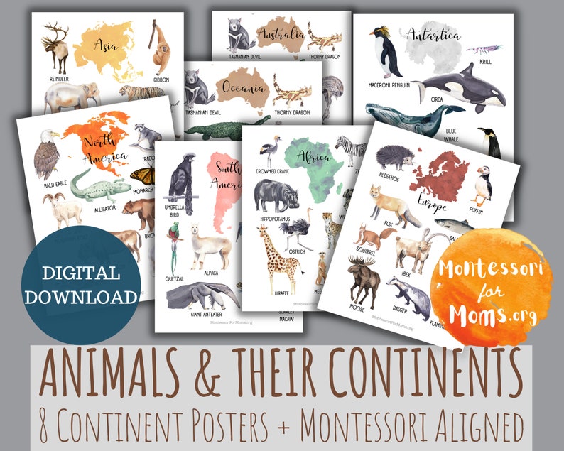 Animals and Their Continents Posters Printable Preschool - Etsy