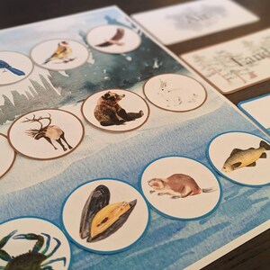 Land Water Air Winter Themed Montessori Sorting Cards Printable ...