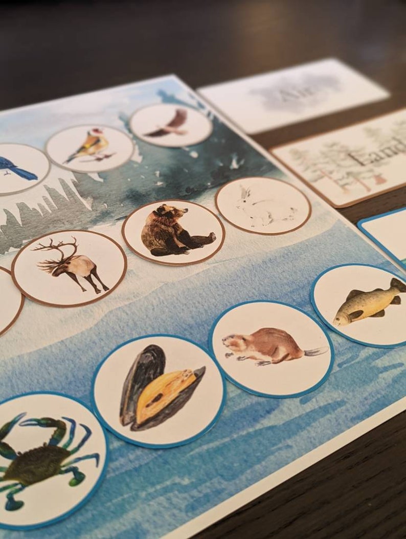 Land Water Air Winter Themed Montessori Sorting Cards Printable ...