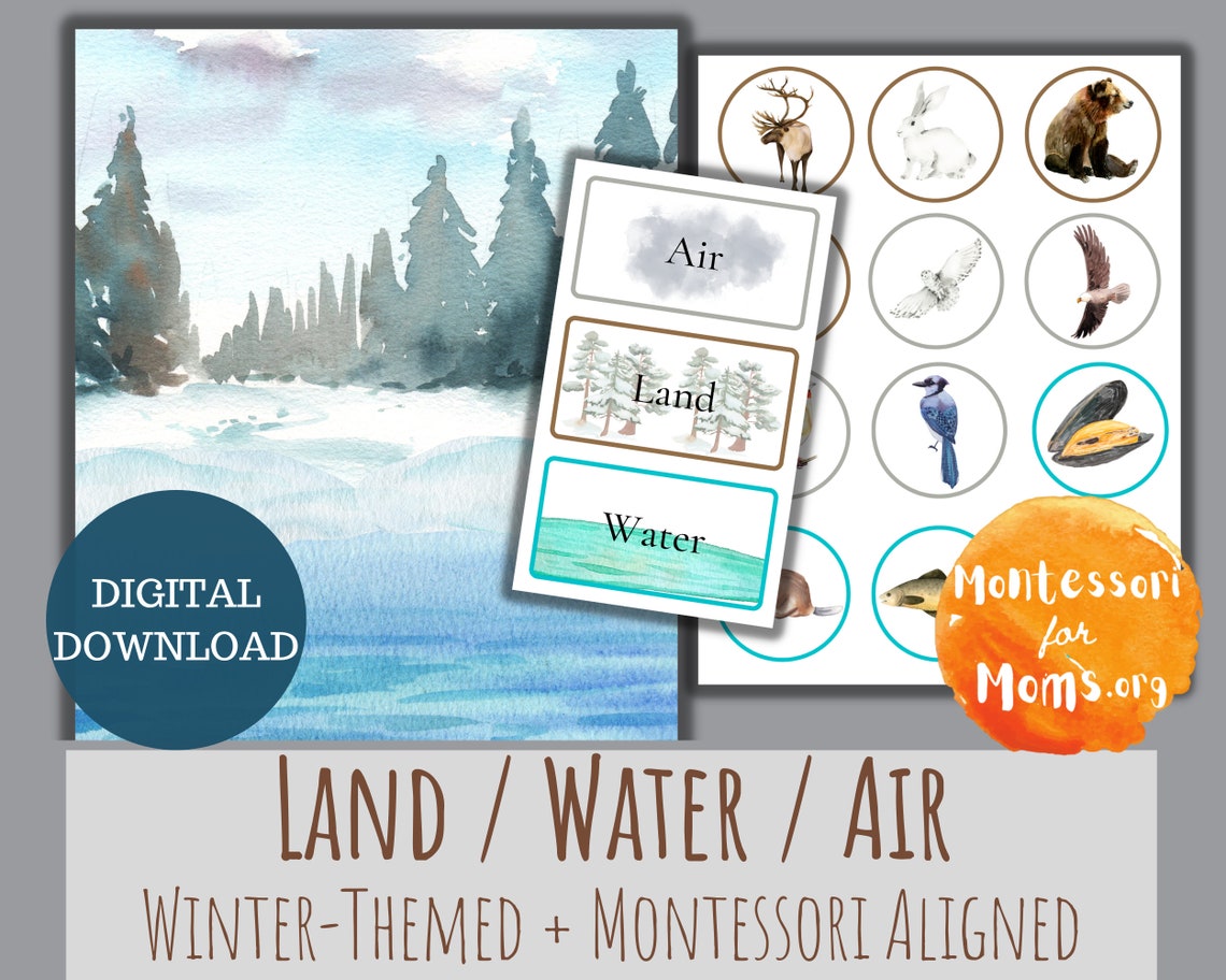 Land Water Air Winter Themed Montessori Sorting Cards - Etsy