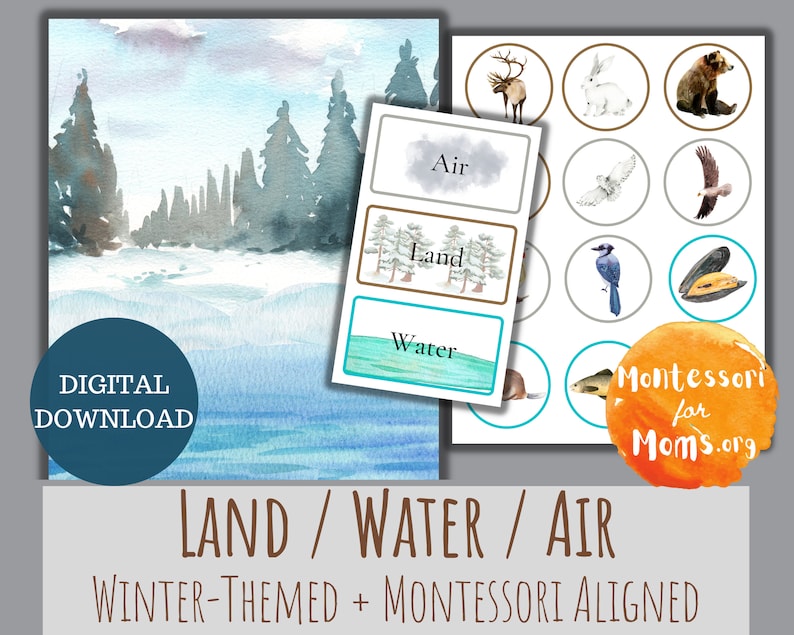 Land Water Air Winter Themed Montessori Sorting Cards Printable ...