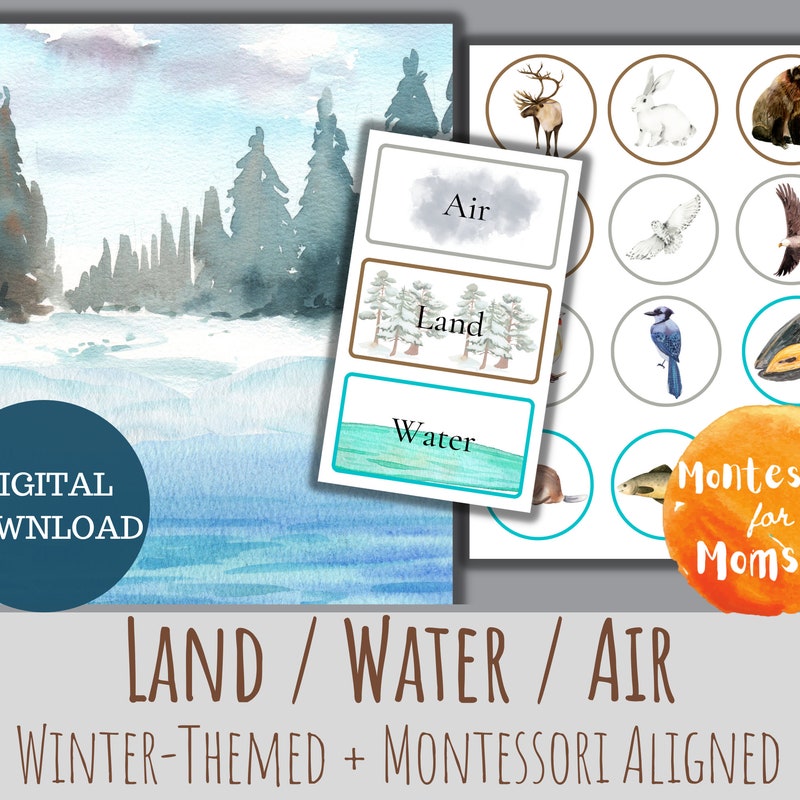 Montessori Activity - Etsy