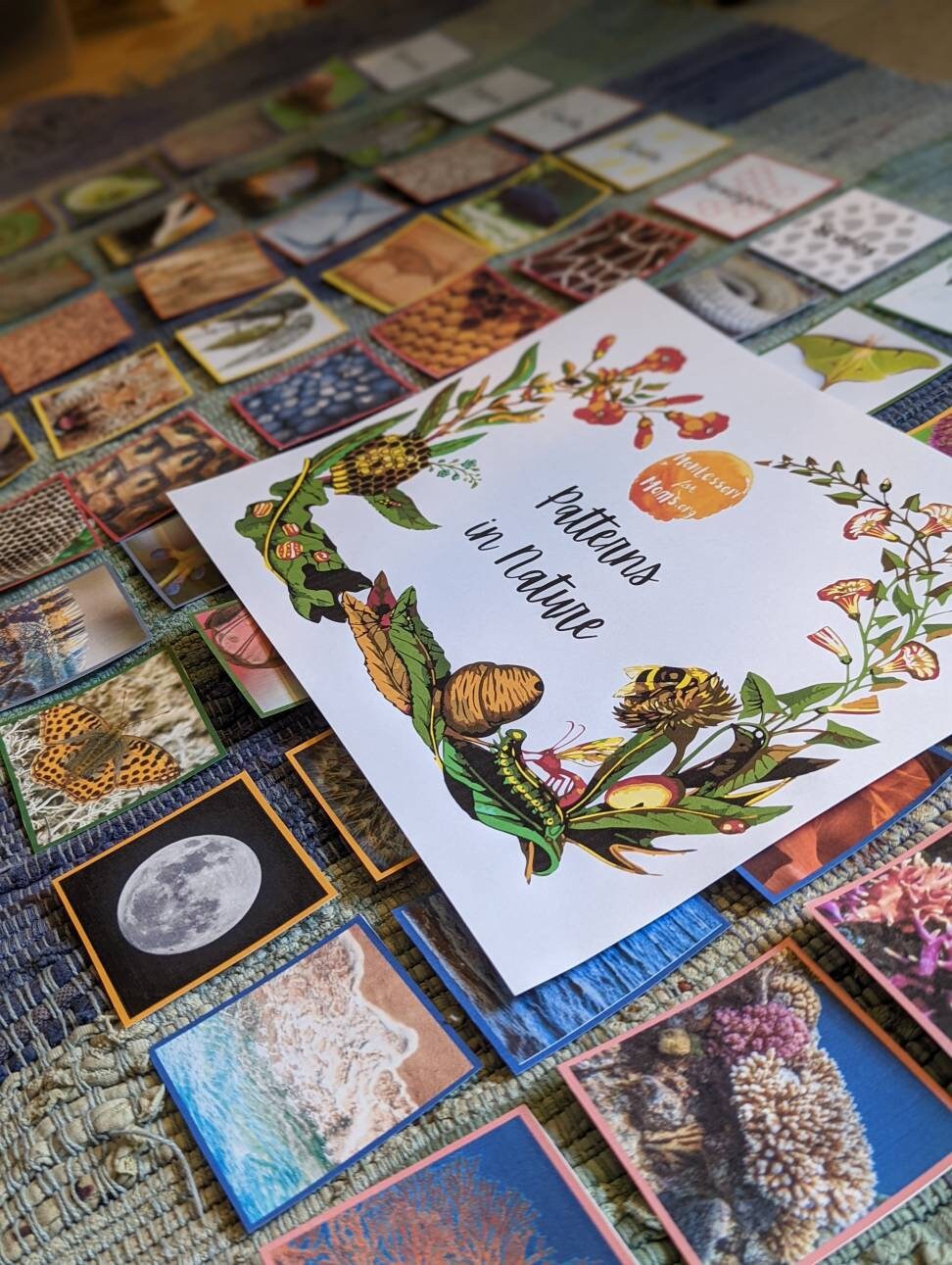 Patterns in Nature Montessori Science Kindergarten Preschool Animal ...