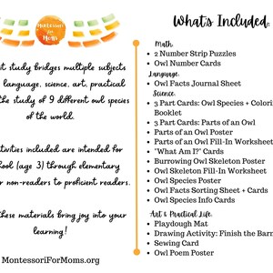 Owls in the World Unit Study Montessori Homeschool Printable 3 Part ...
