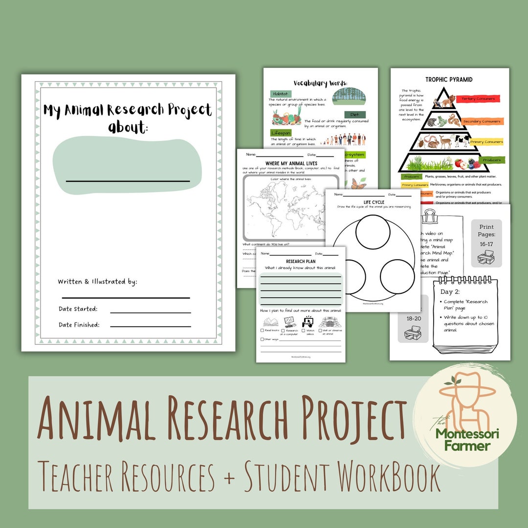 Animal Research Project Montessori Printable Preschool Kindergarten ...
