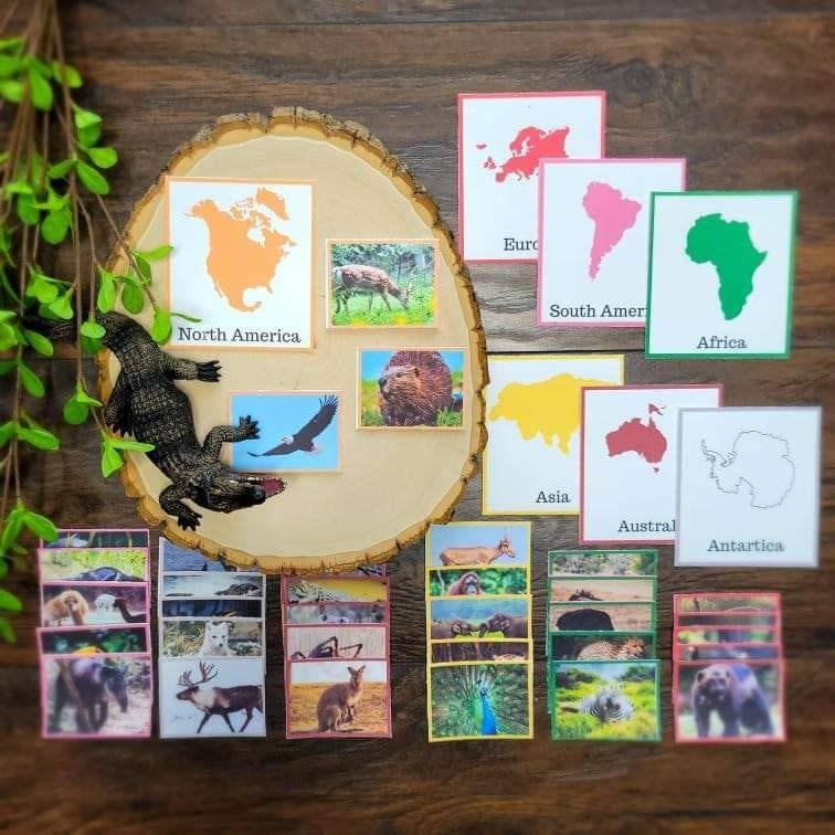 Animals and Their Continents Cards Printable Preschool - Etsy Australia