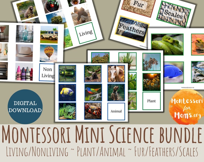 Living/non-living Sorting Set, Montessori Object Classification, Gift ...