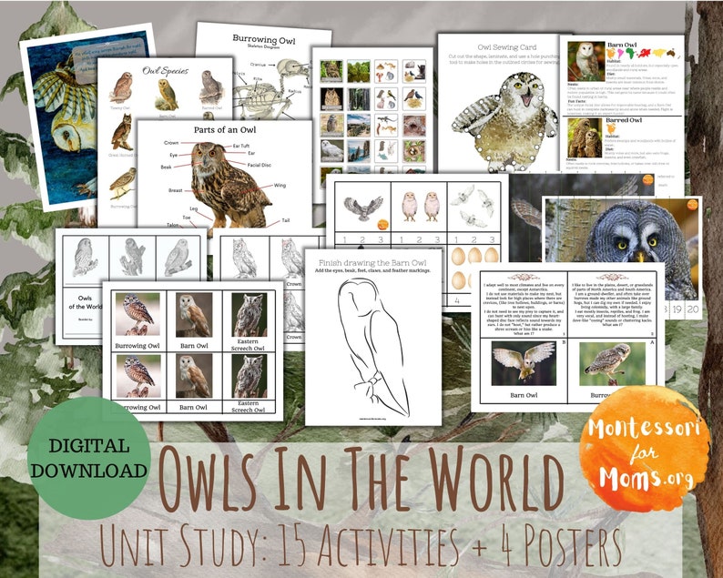 Owls in the World Unit Study Montessori Homeschool Printable 3 Part ...
