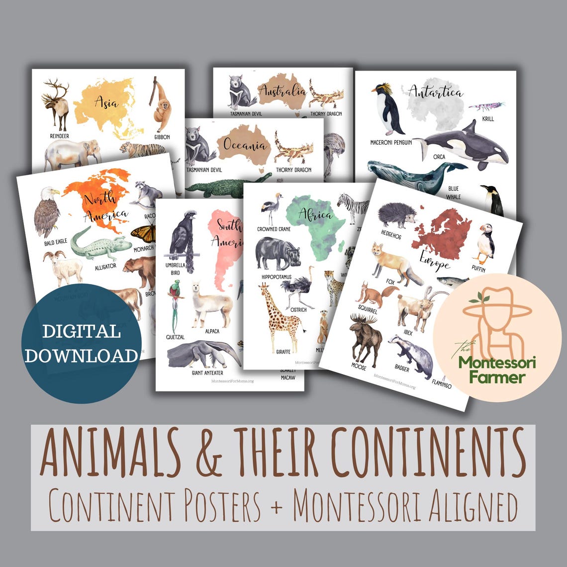 Animals and Their Continents Posters Printable Preschool Kindergarten ...