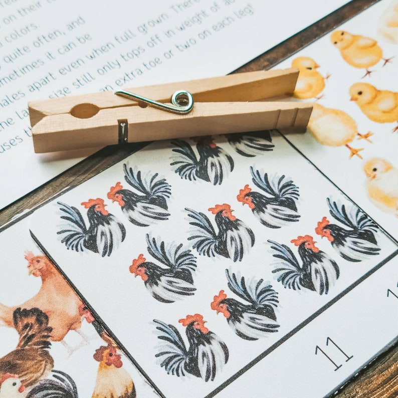 Chicken Unit Study Montessori Homeschool Science Printable 3 Part Cards ...