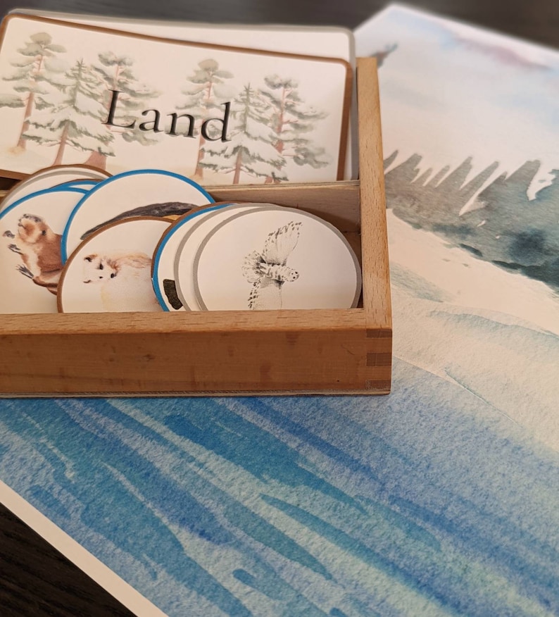 Land Water Air Winter Themed Montessori Sorting Cards Printable ...