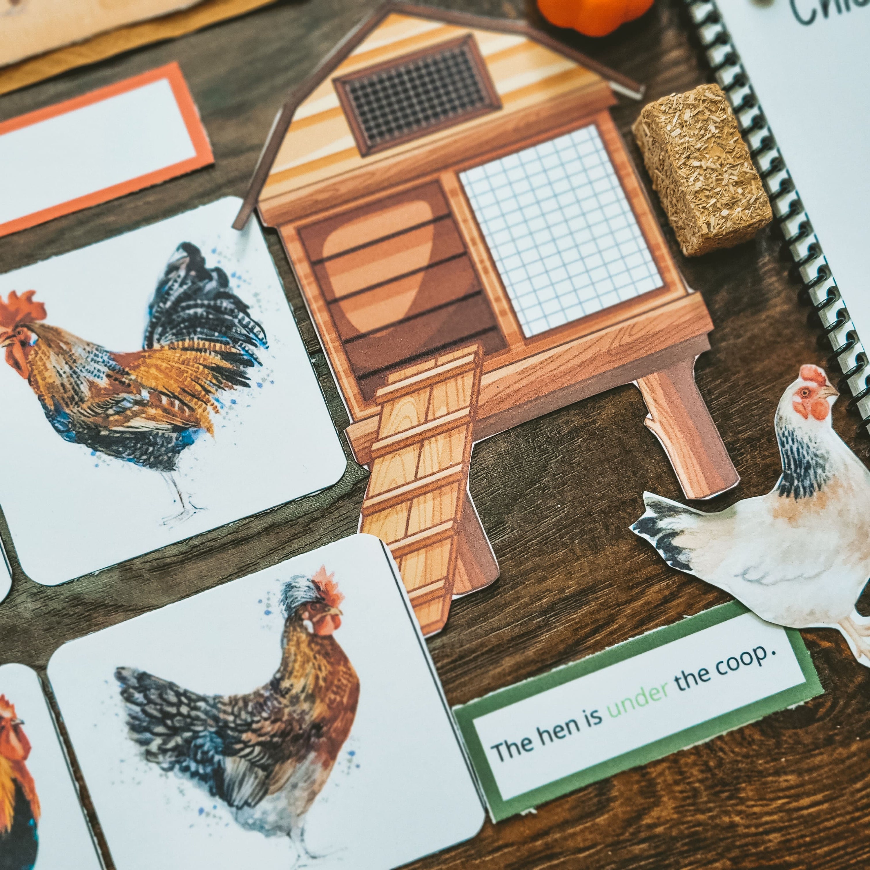 Chicken Unit Study Montessori Homeschool Science Printable 3 - Etsy