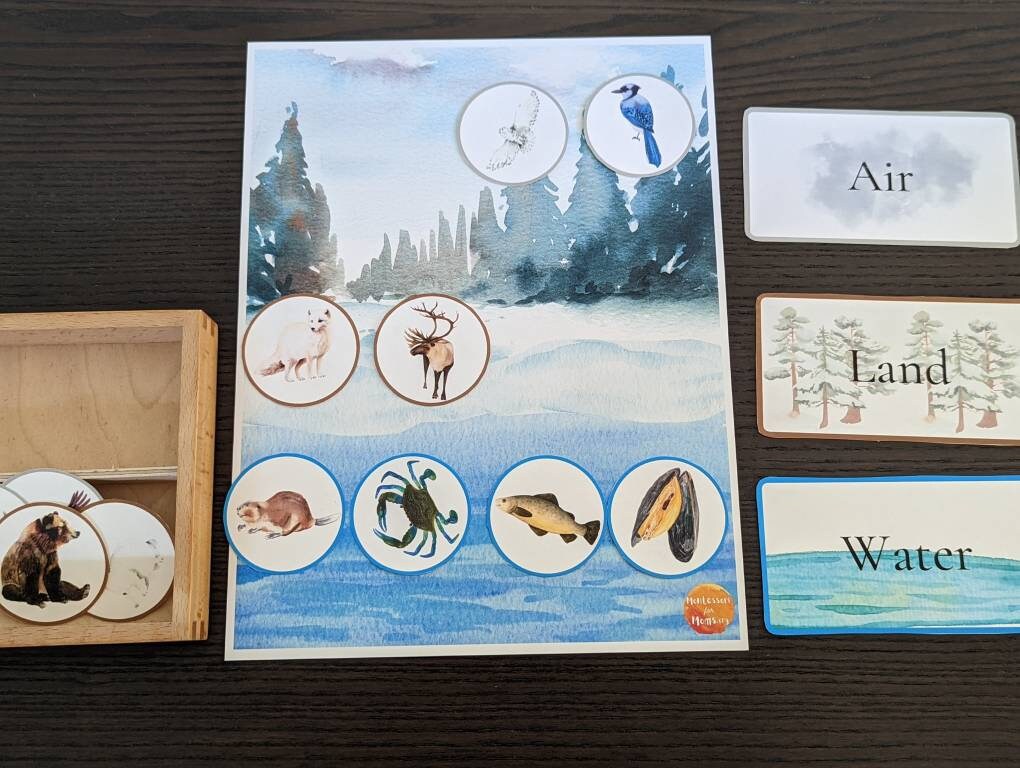 Land Water Air Winter Themed Montessori Sorting Cards Printable ...