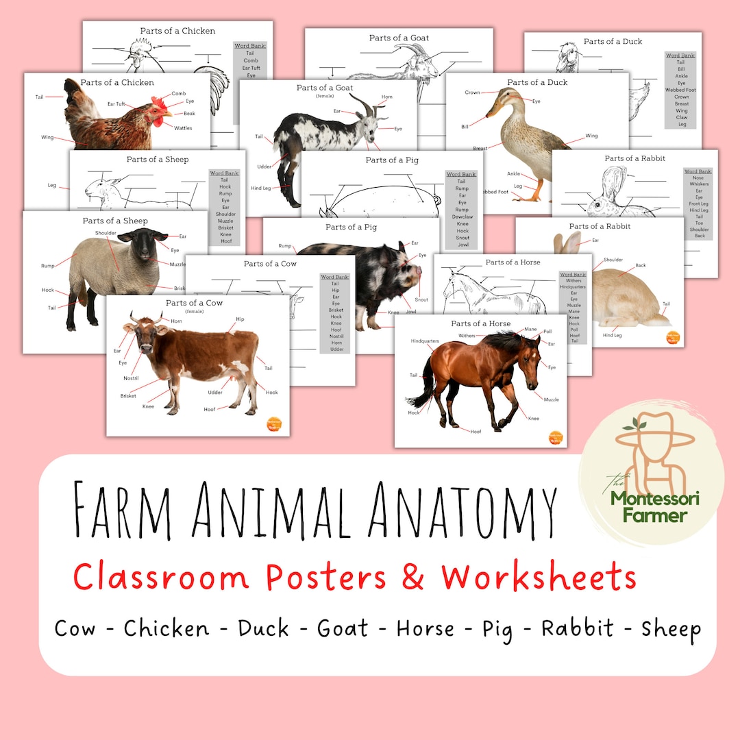 Farm Animal Anatomy Poster Unit Study Montessori Homeschool Science ...