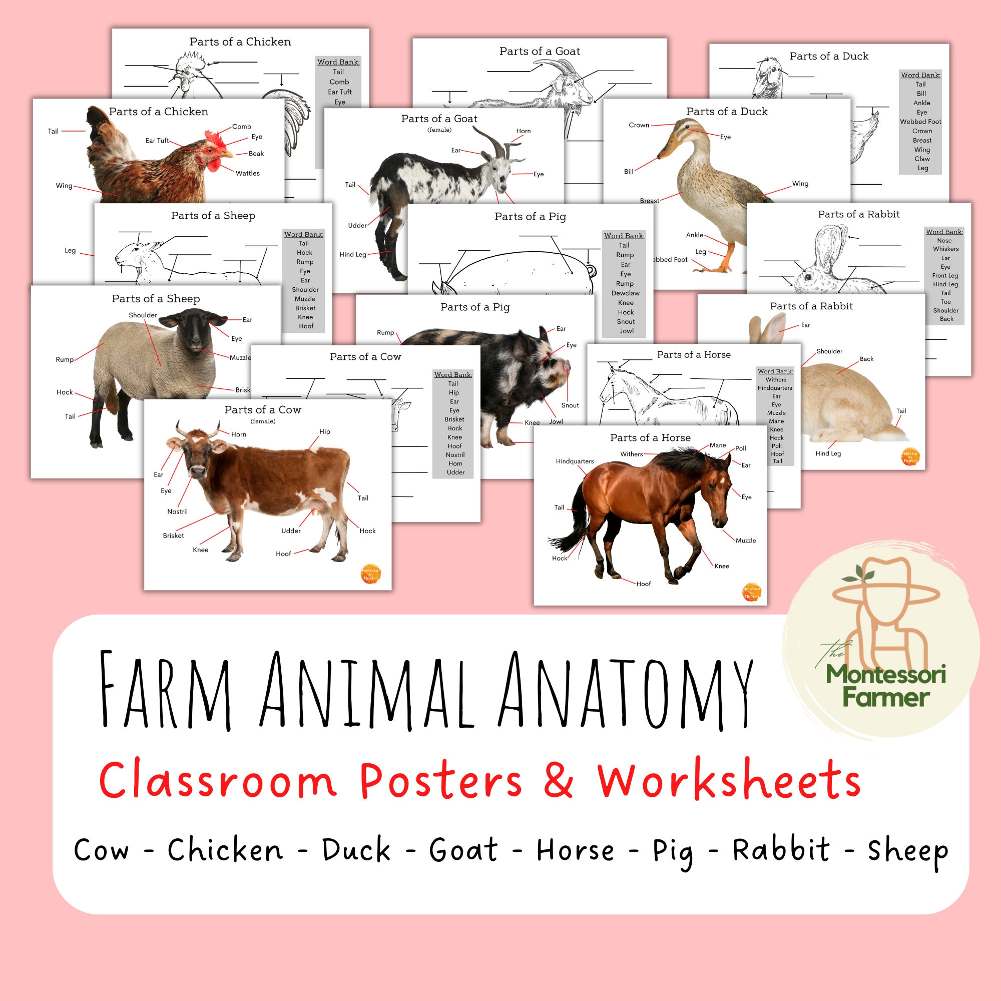 Farm Animal Anatomy Poster Unit Study Montessori Homeschool Science ...