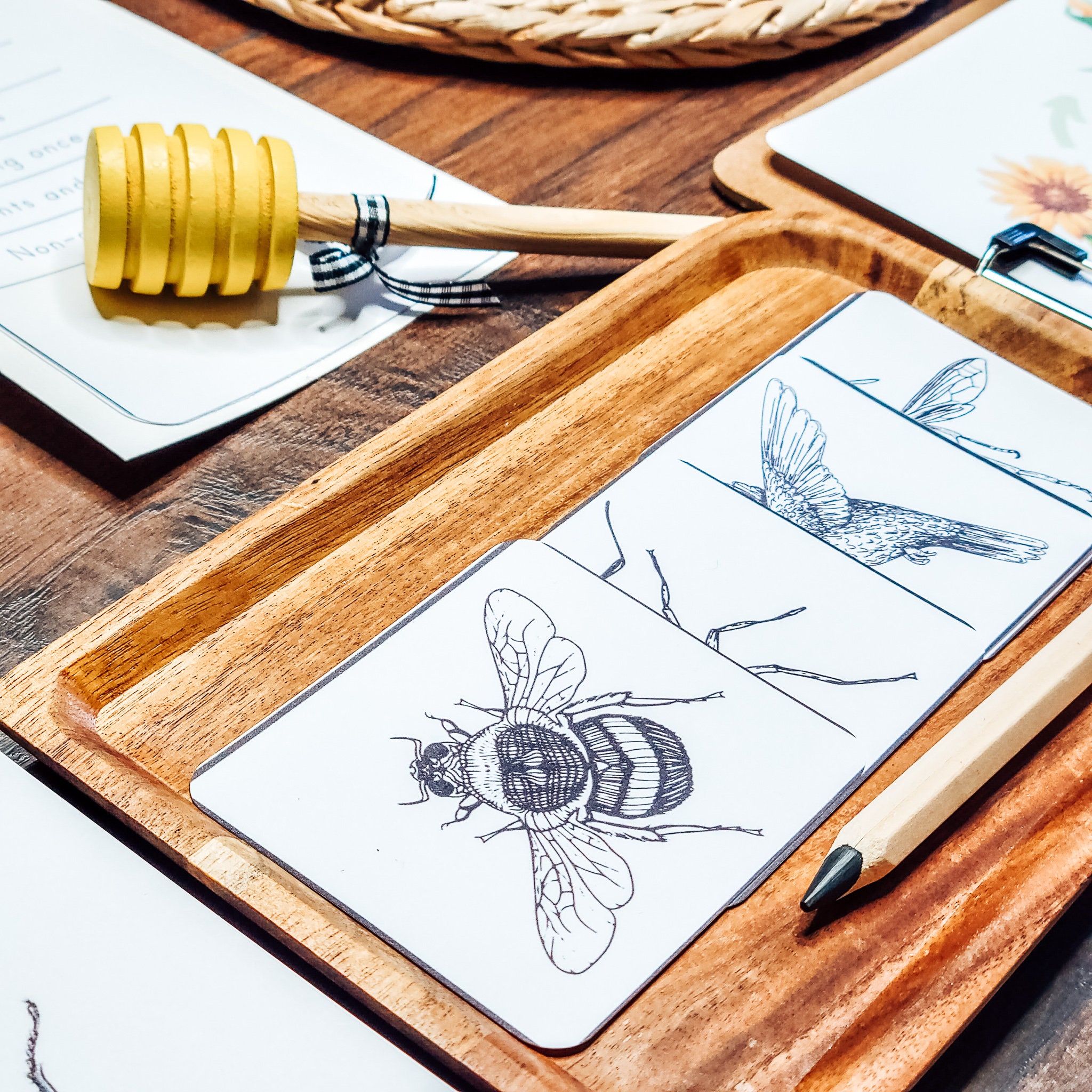 Pollinators of the World Unit Study Montessori Homeschool Printable 3 ...