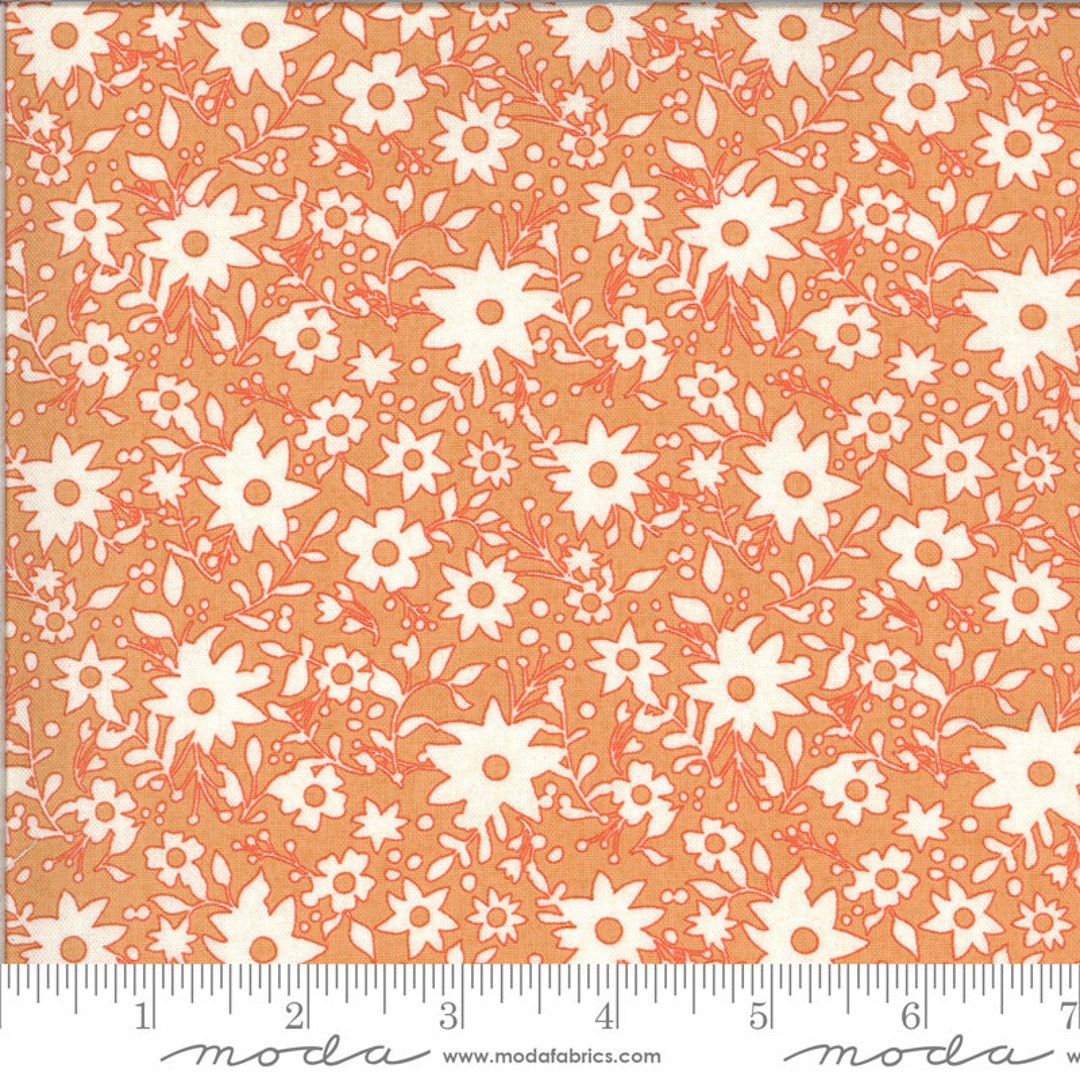 Cider Cobbler 30645 12 Moda Designer Basicgrey White Floral on Orange ...