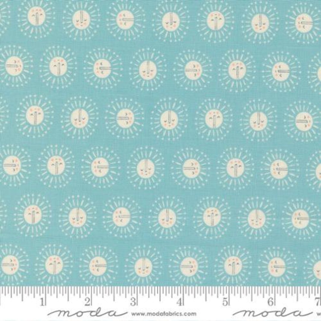 Noah's Ark Sky Blue Cotton Fabric by Stacy Iest Hsu - Etsy