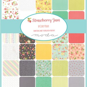 Strawberry Jam Honey Bun® Moda 29060HB 40 Piece Assorted - Etsy