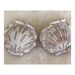Mermaid Sea Shell Bra - Etsy