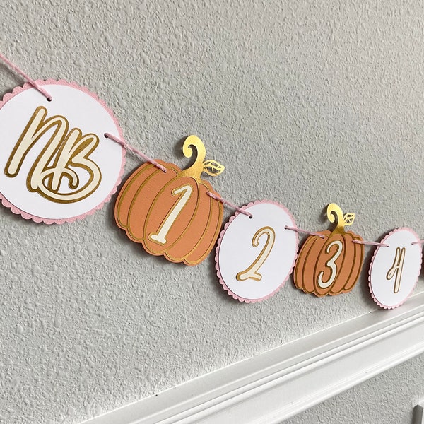 Fall Birthday Banner - Etsy