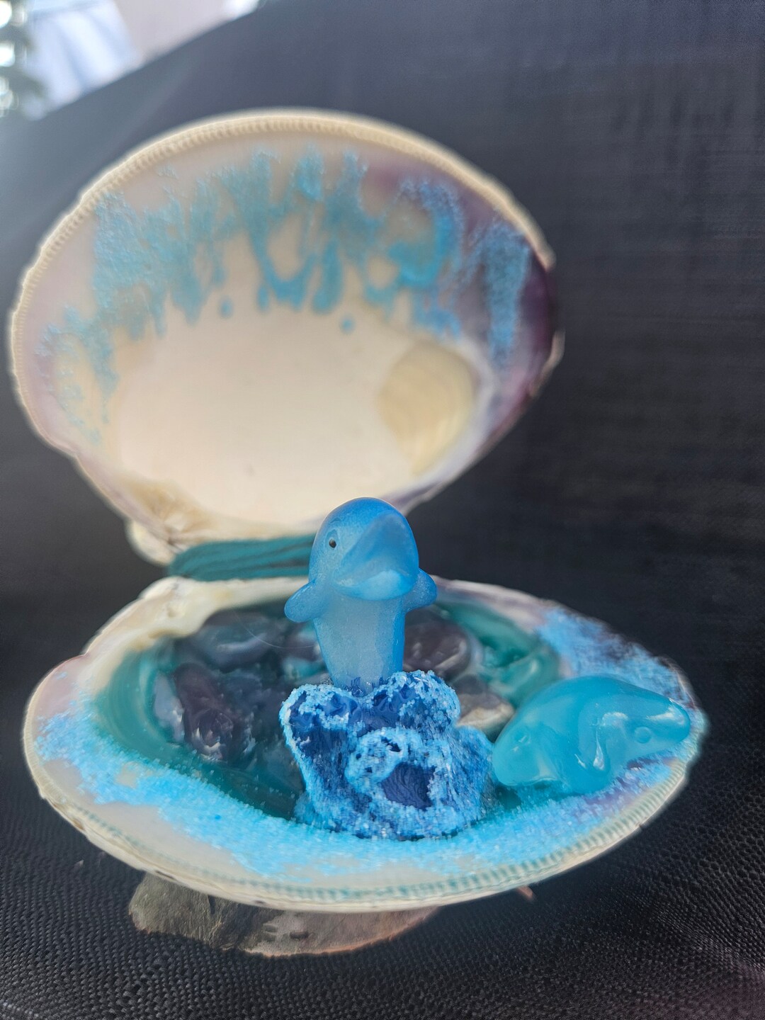 Dolphin Clam Shell Diorama - Etsy