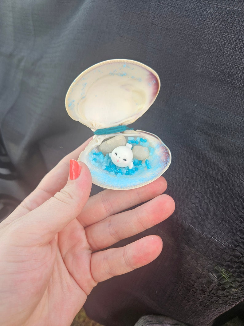 Seal Clam Shell Diorama - Etsy