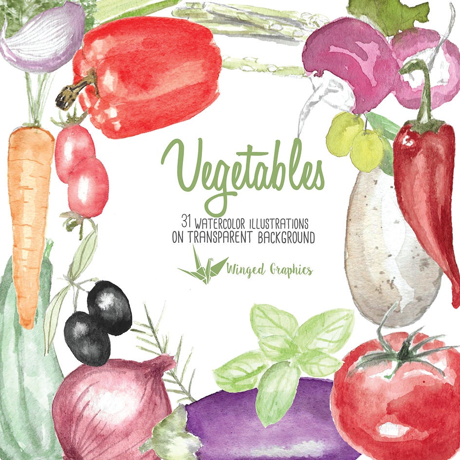 Digital Watercolour Clipart. Food Series #2:vegetables and Herbs. 31 ...