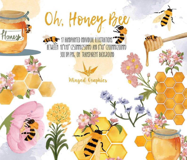 Honey Bee Watercolor Clipart Set | 17 PNG Illustrations of Honeycombs ...