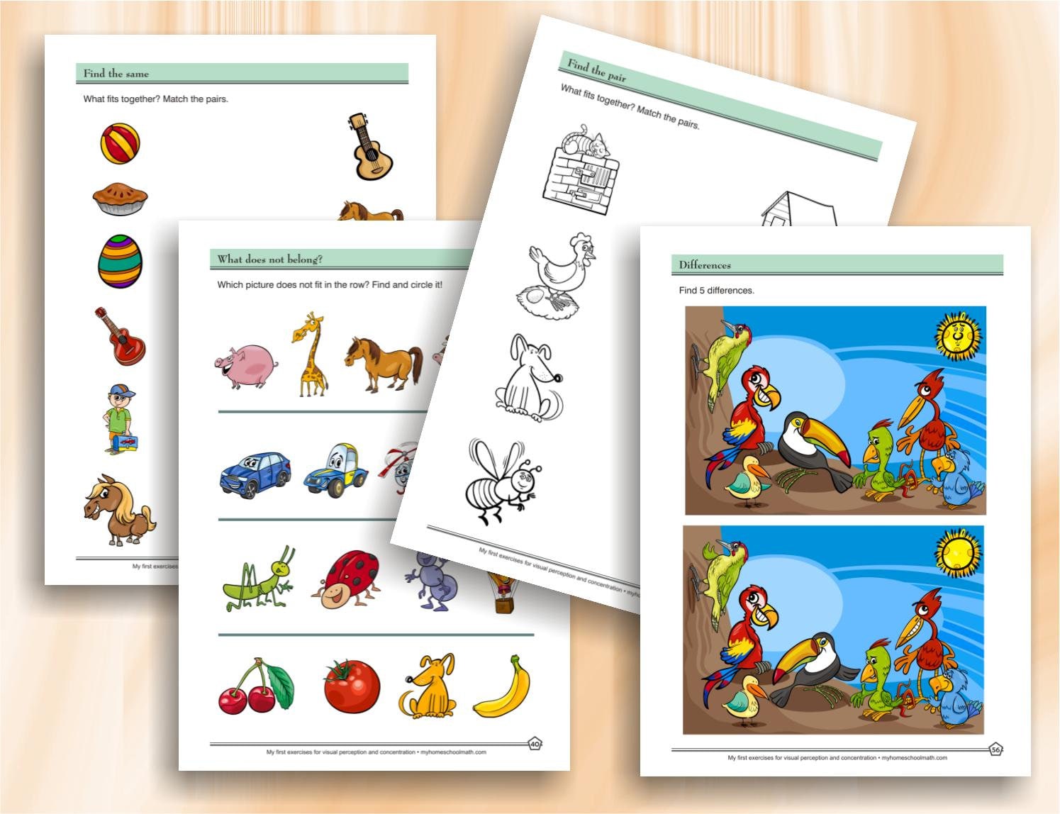 My First Exercises for Visual Perception and Concentration | 56 ...