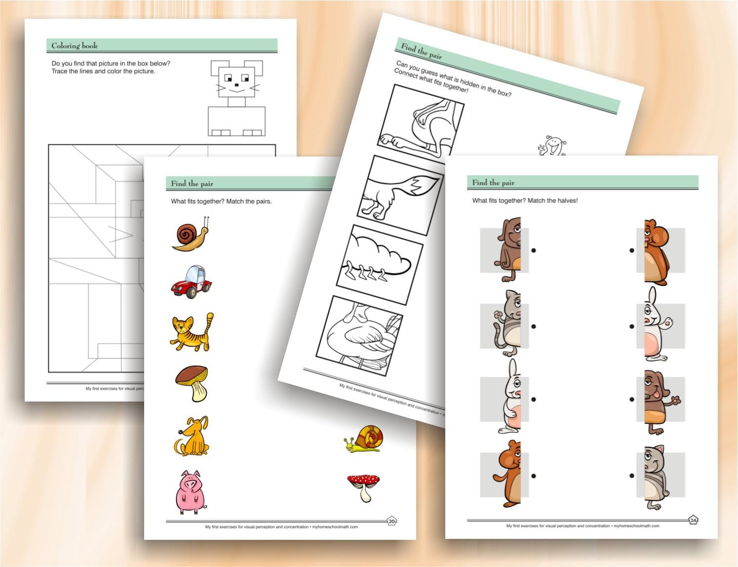 My First Exercises for Visual Perception and Concentration | 56 ...