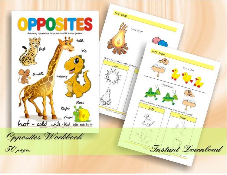 Opposites Learning Opposites for Kindergarten Children - Etsy