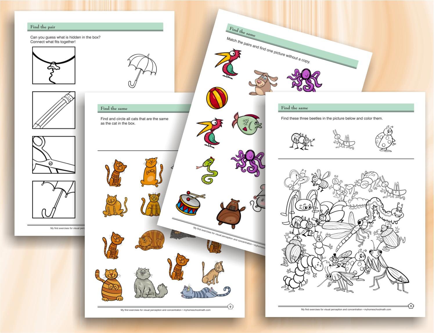 My First Exercises for Visual Perception and Concentration | 56 ...