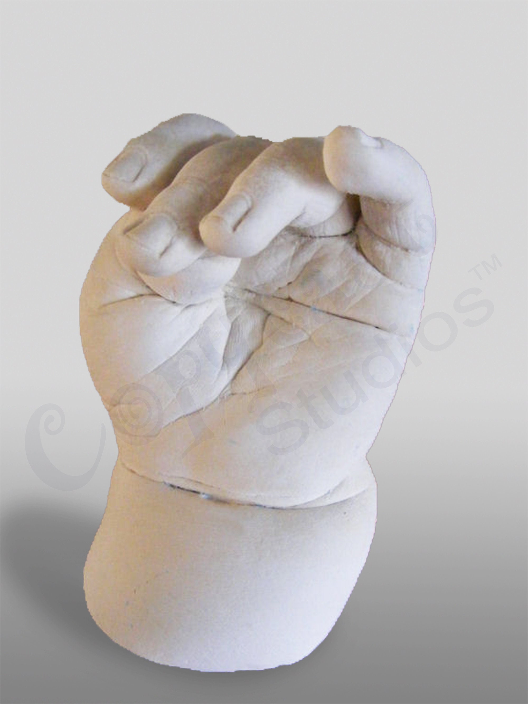 Alginate Moulding Powder for Life Casting face casting hand | Etsy