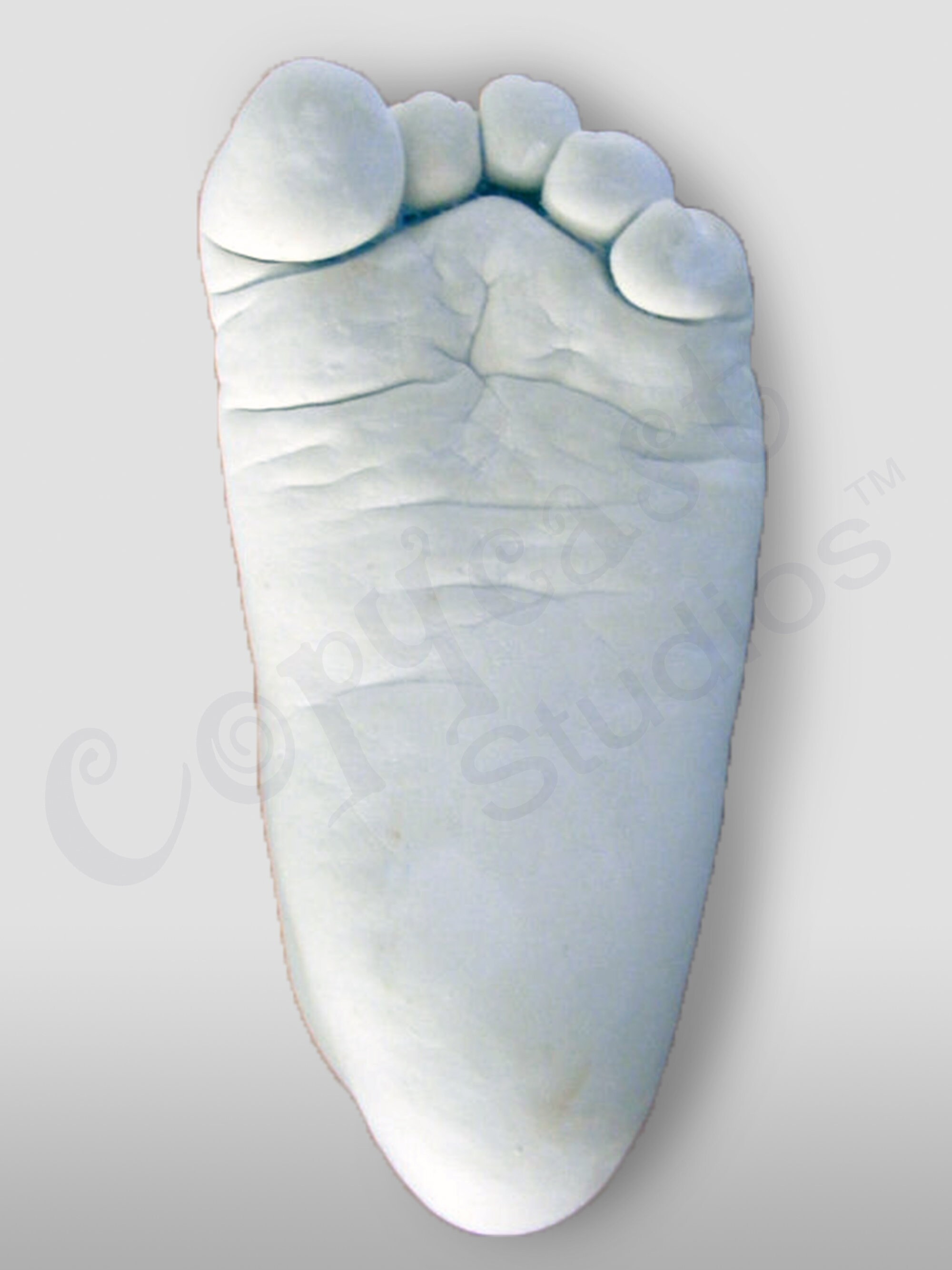 Alginate Moulding Powder for Life Casting face casting hand | Etsy