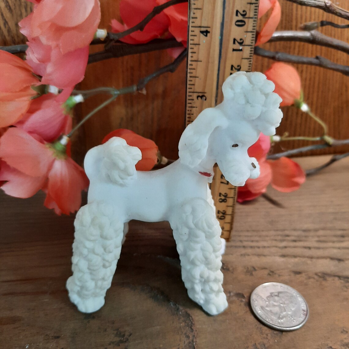 Chalk Poodle - Etsy