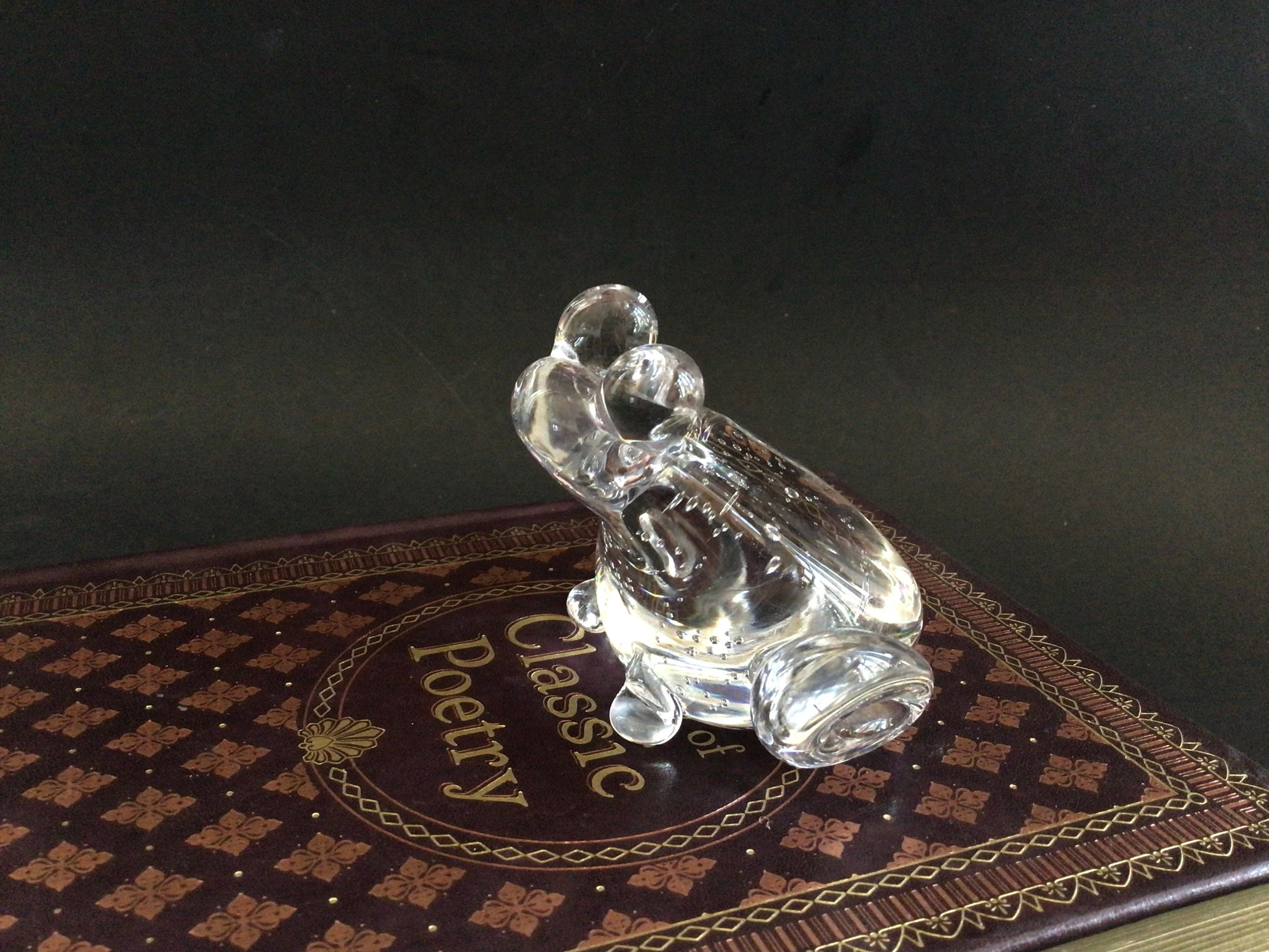 Vintage Glass Frog Glass Toad Recovery Gift Terrarium | Etsy