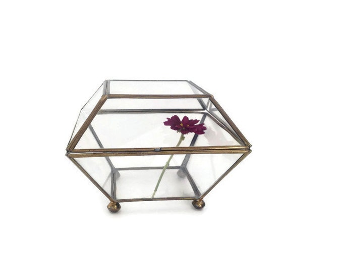 Vintage Glass Terrarium Glass Display Case Brass Tone and - Etsy