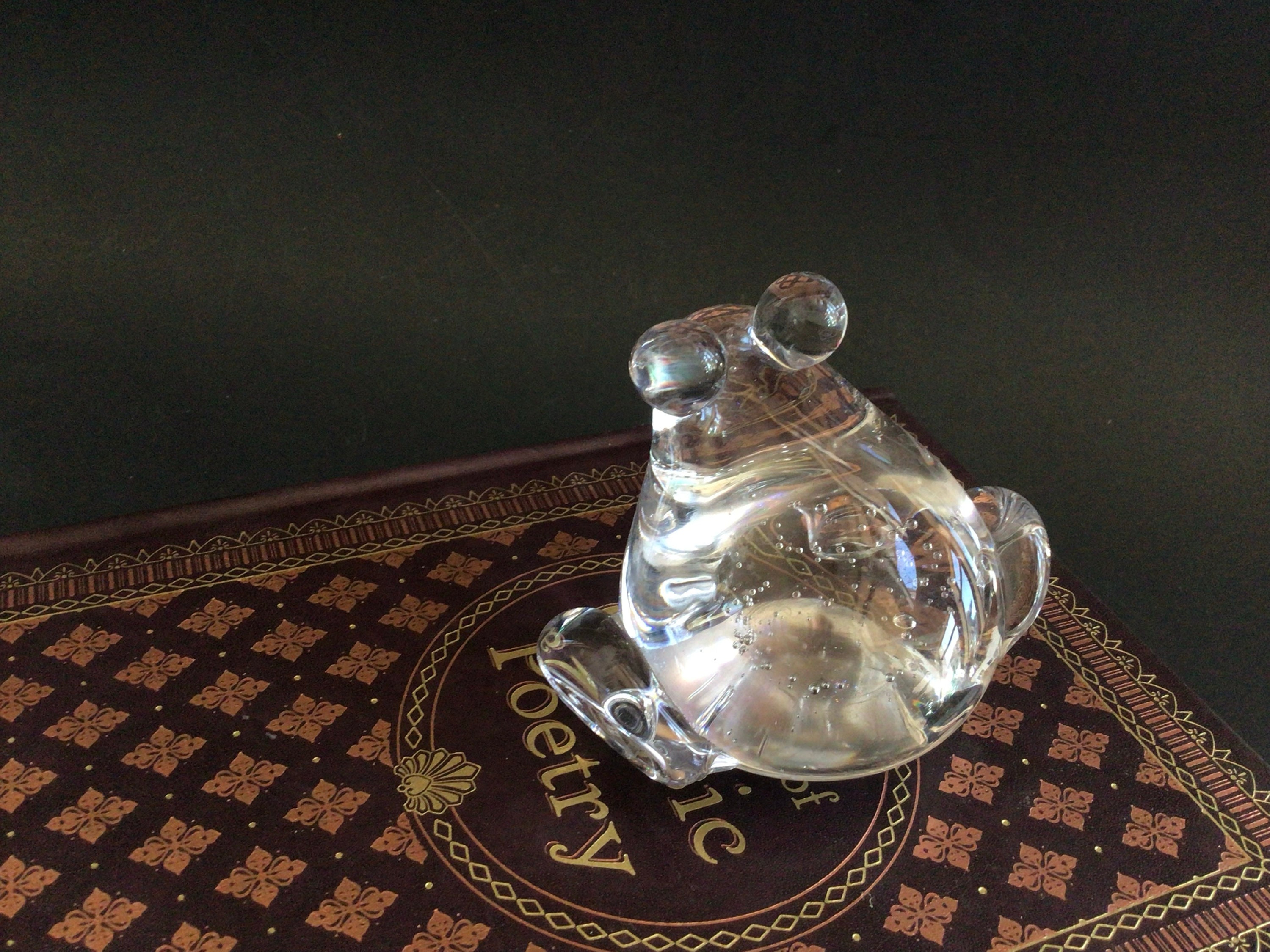 Vintage Glass Frog Glass Toad Recovery Gift Terrarium | Etsy