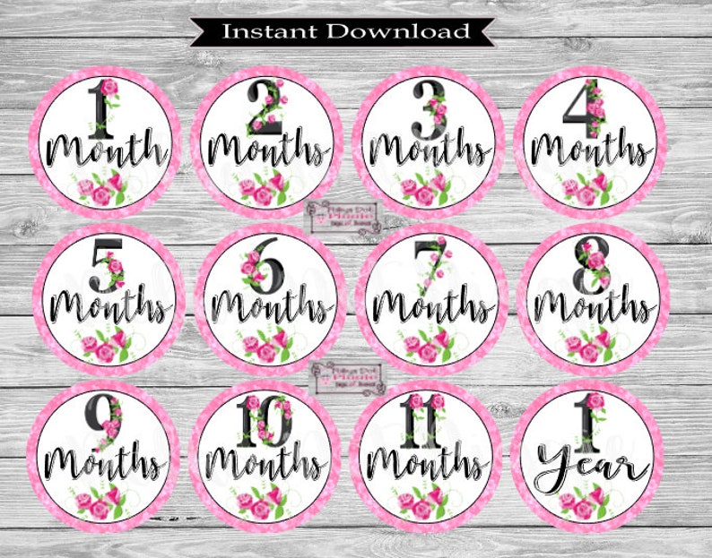 Pink Floral Baby Monthly Milestone Stickers / Baby Month Stickers ...