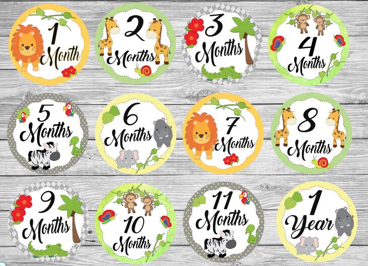 Cute Jungle Animals Safari Baby Monthly Milestone Clothing - Etsy