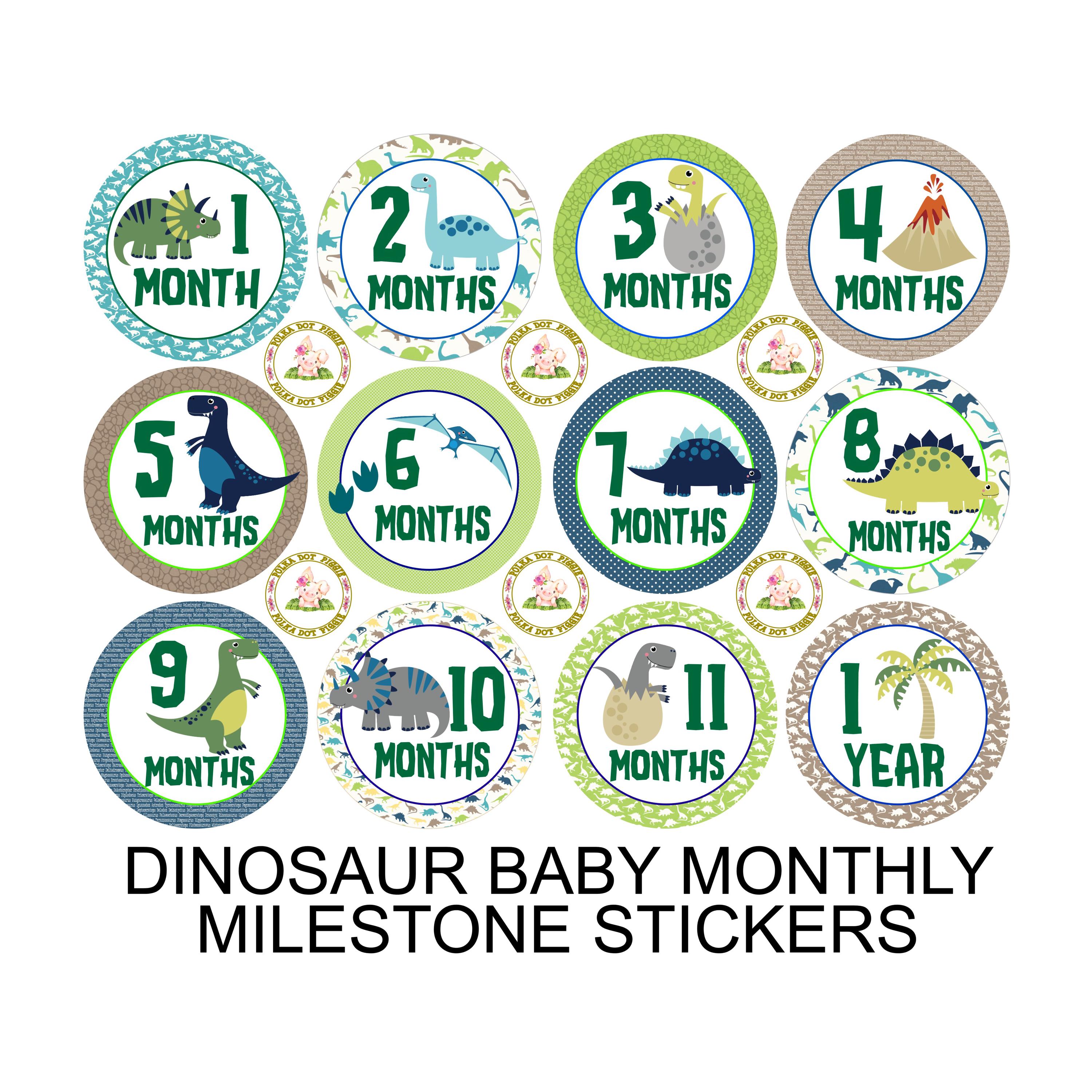 Dinosaur Jurassic Baby Monthly Milestone Stickers Dinosaurs, Little Boy ...