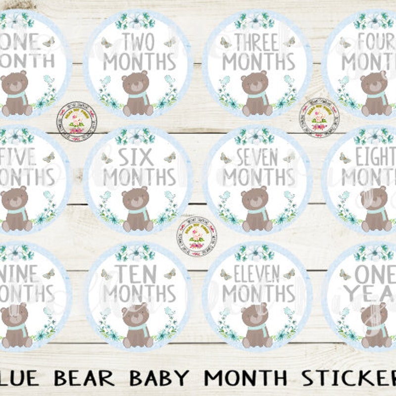 Baby Boy Month Stickers - Etsy