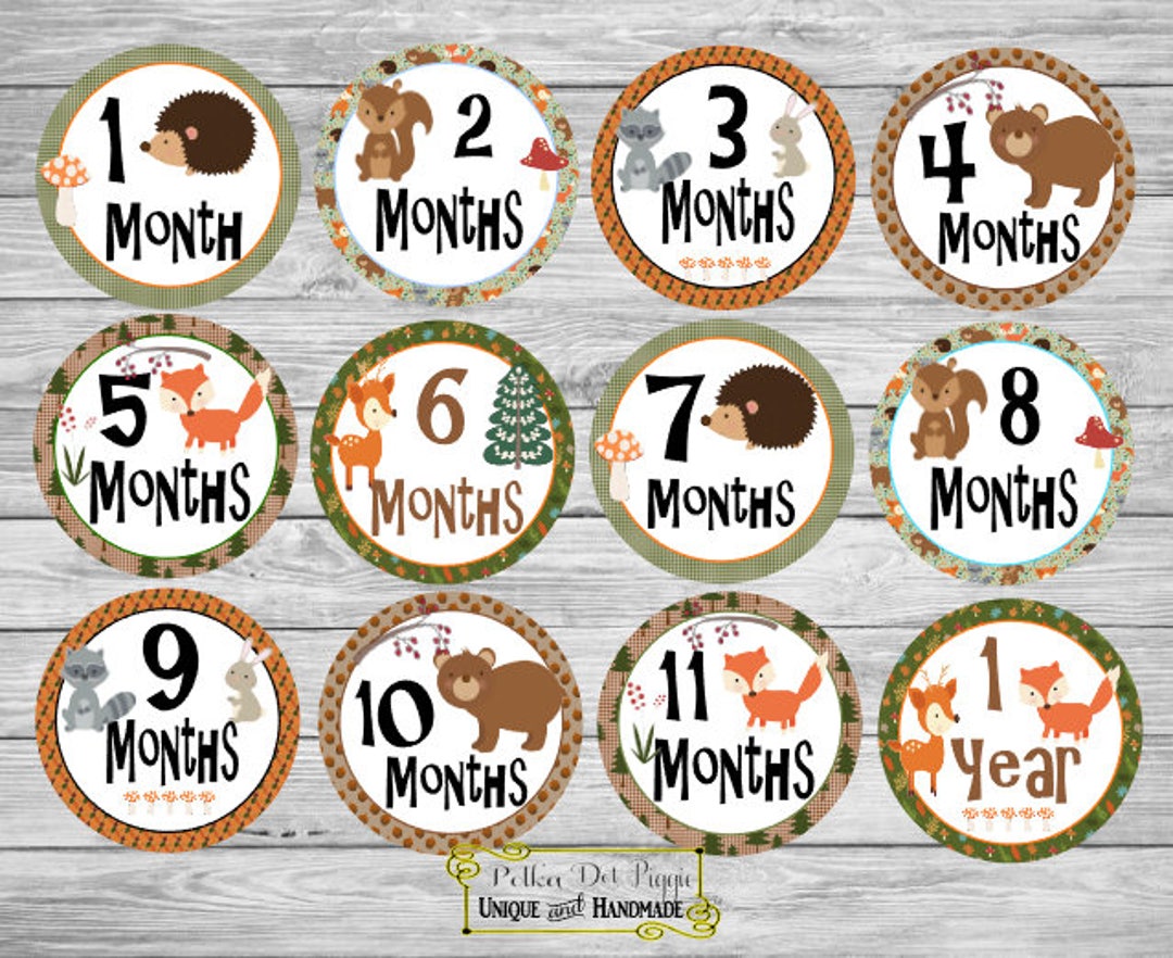 Woodland Forest Friends Baby Clothing Monthly Milestone Stickers - Etsy