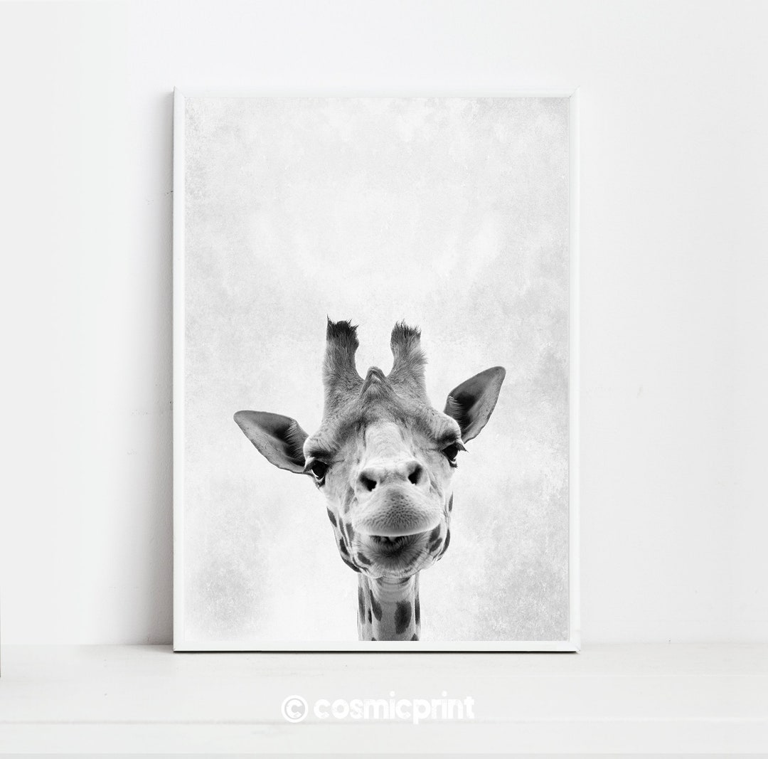 Giraffe Print Giraffe Poster Wall Art Print Animal Print - Etsy