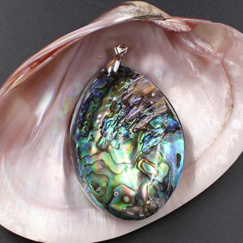 Real Rainbow Abalone Shell Necklace Rainbow Paua Shell Etsy