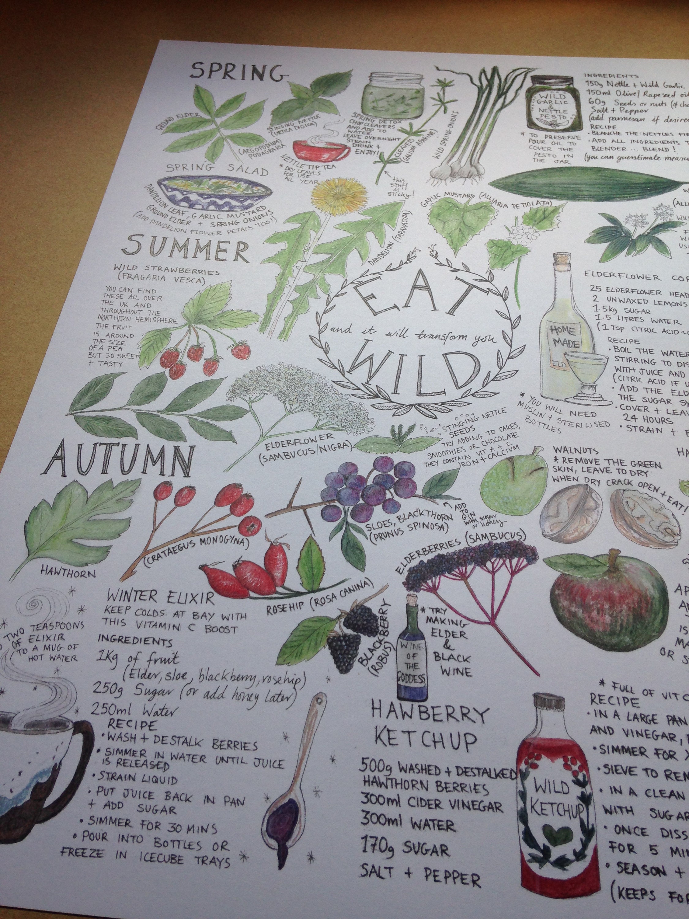 EAT WILD Foraging Poster / Recipes / Outdoor Living / Wild - Etsy UK